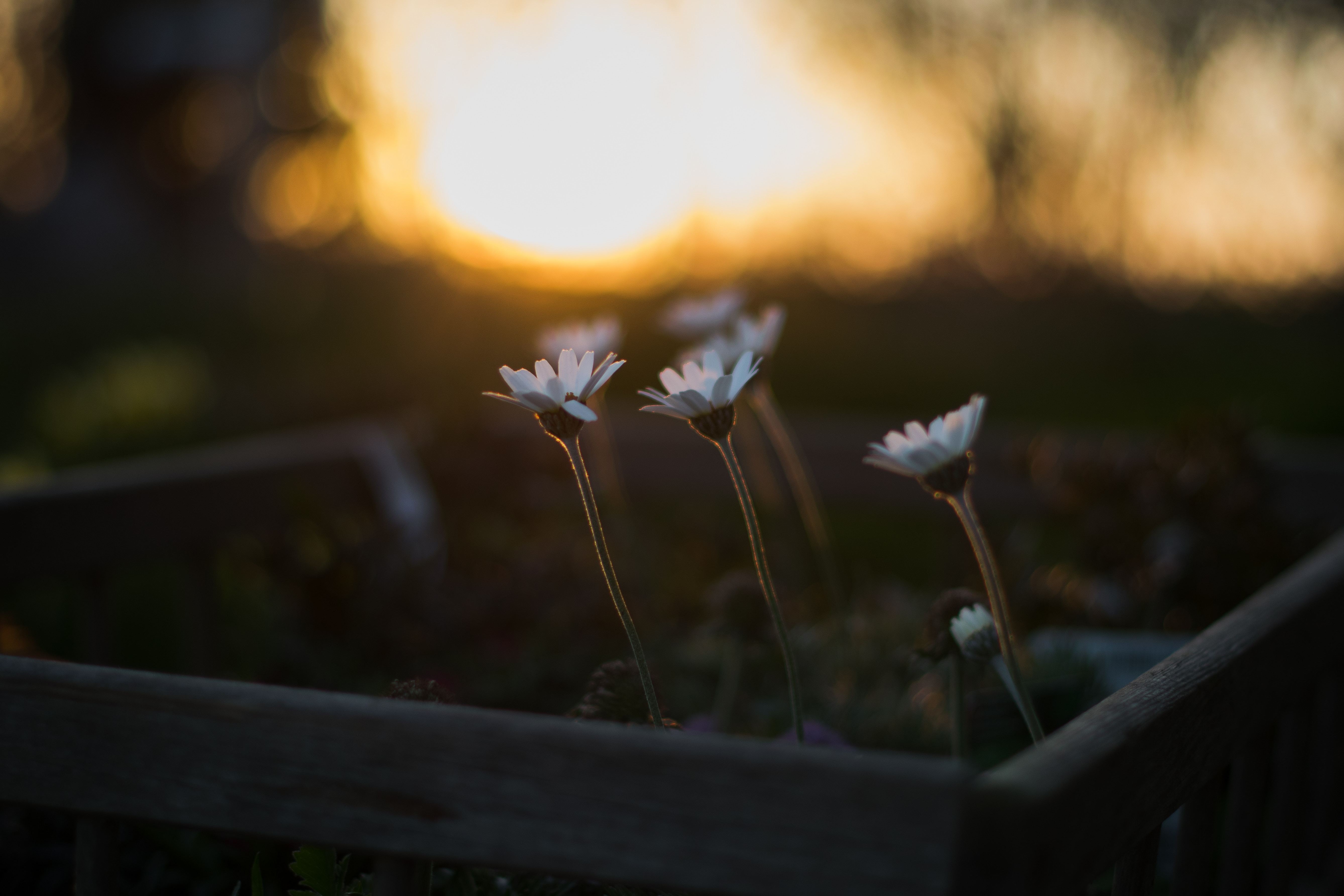 Growing in Faith — Today Daily Devotional