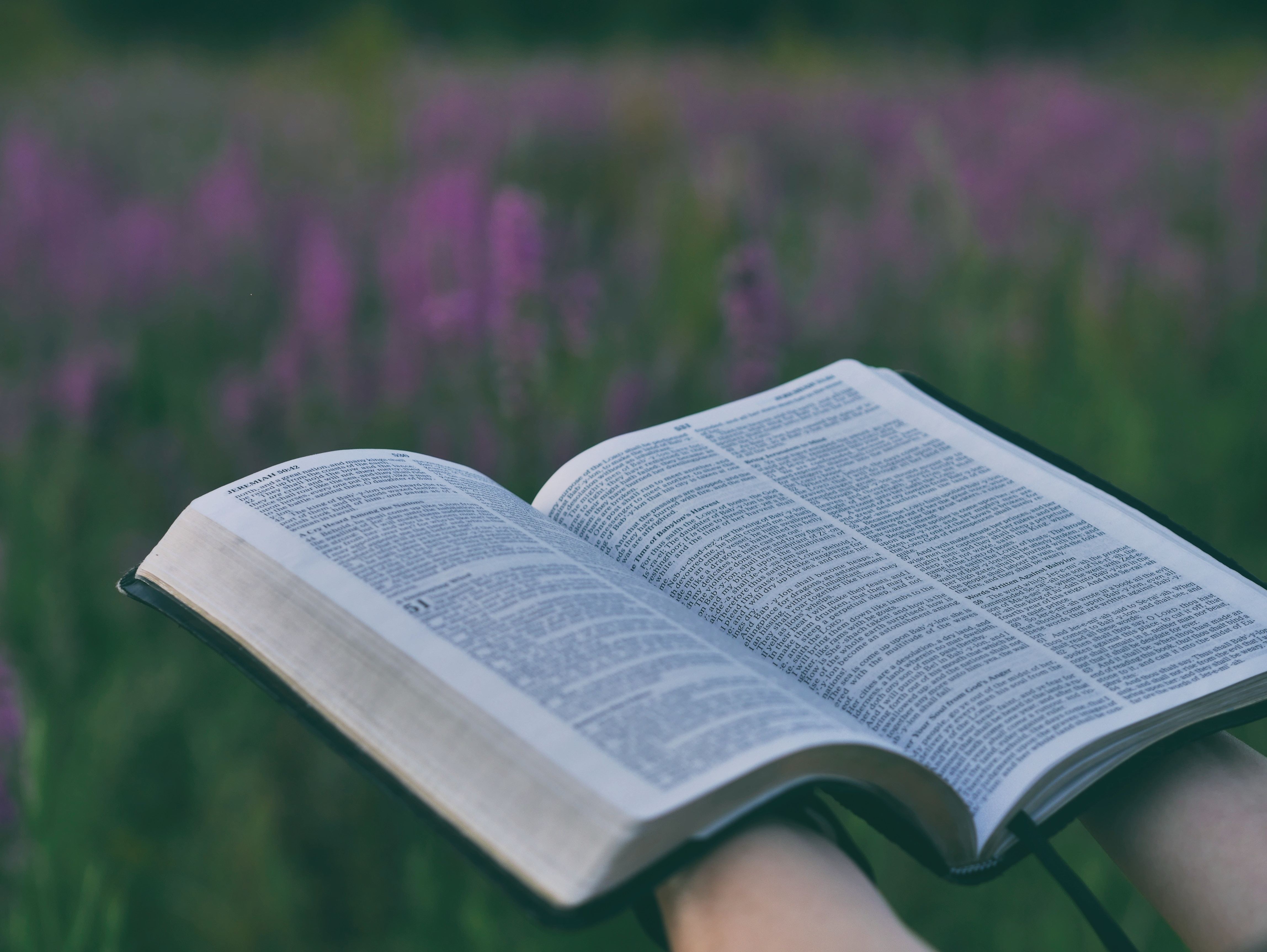 Accepting One Another — Today Daily Devotional