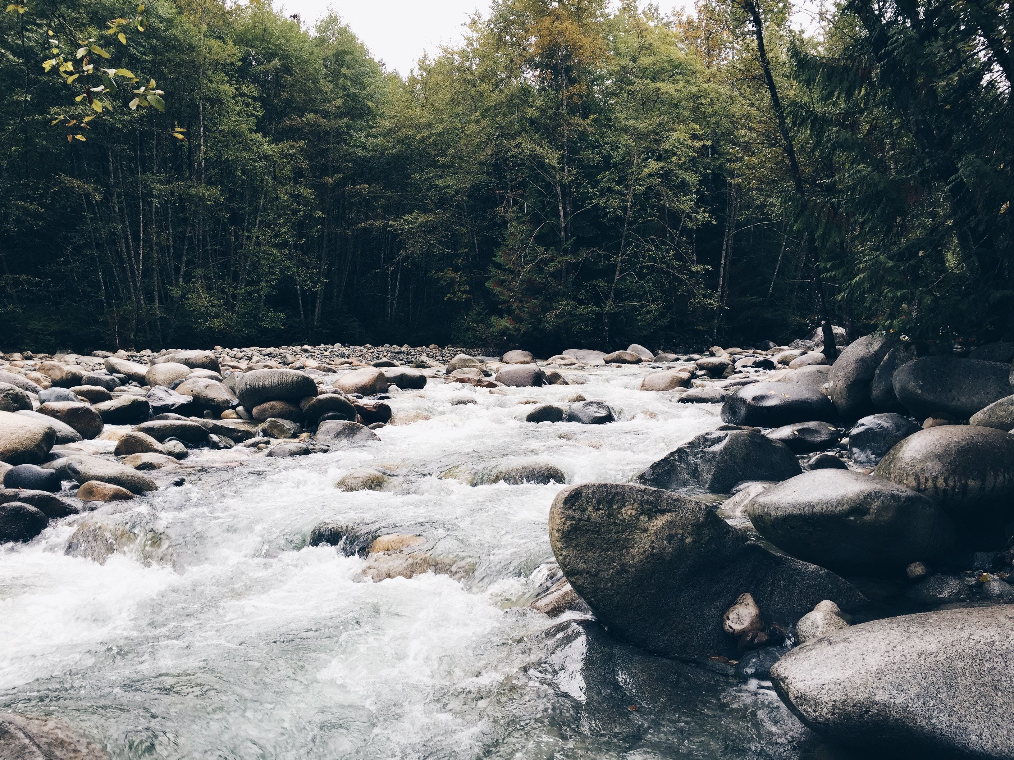 Floating Moses — Today Daily Devotional