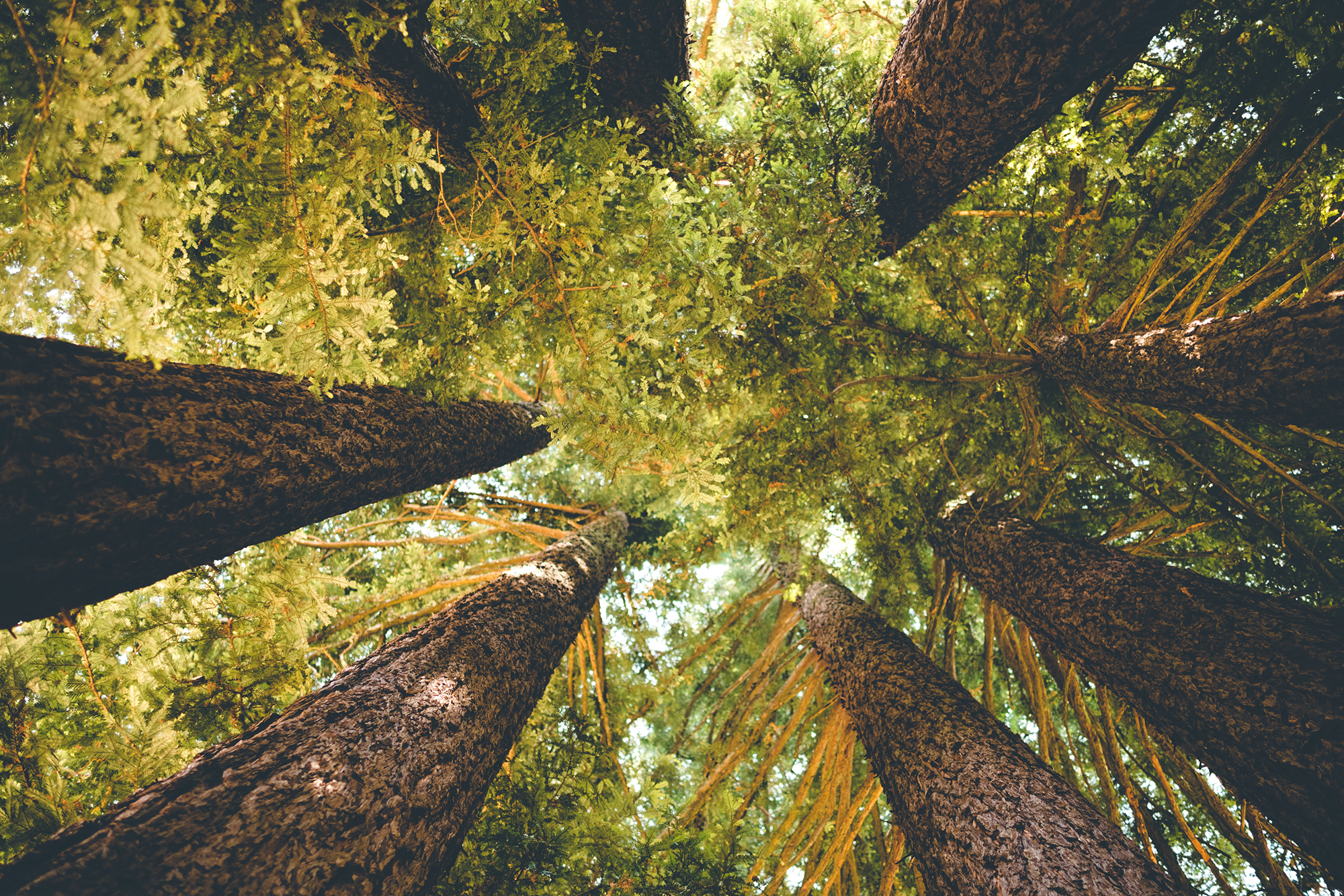 Transformation From the Inside Out — Today Daily Devotional