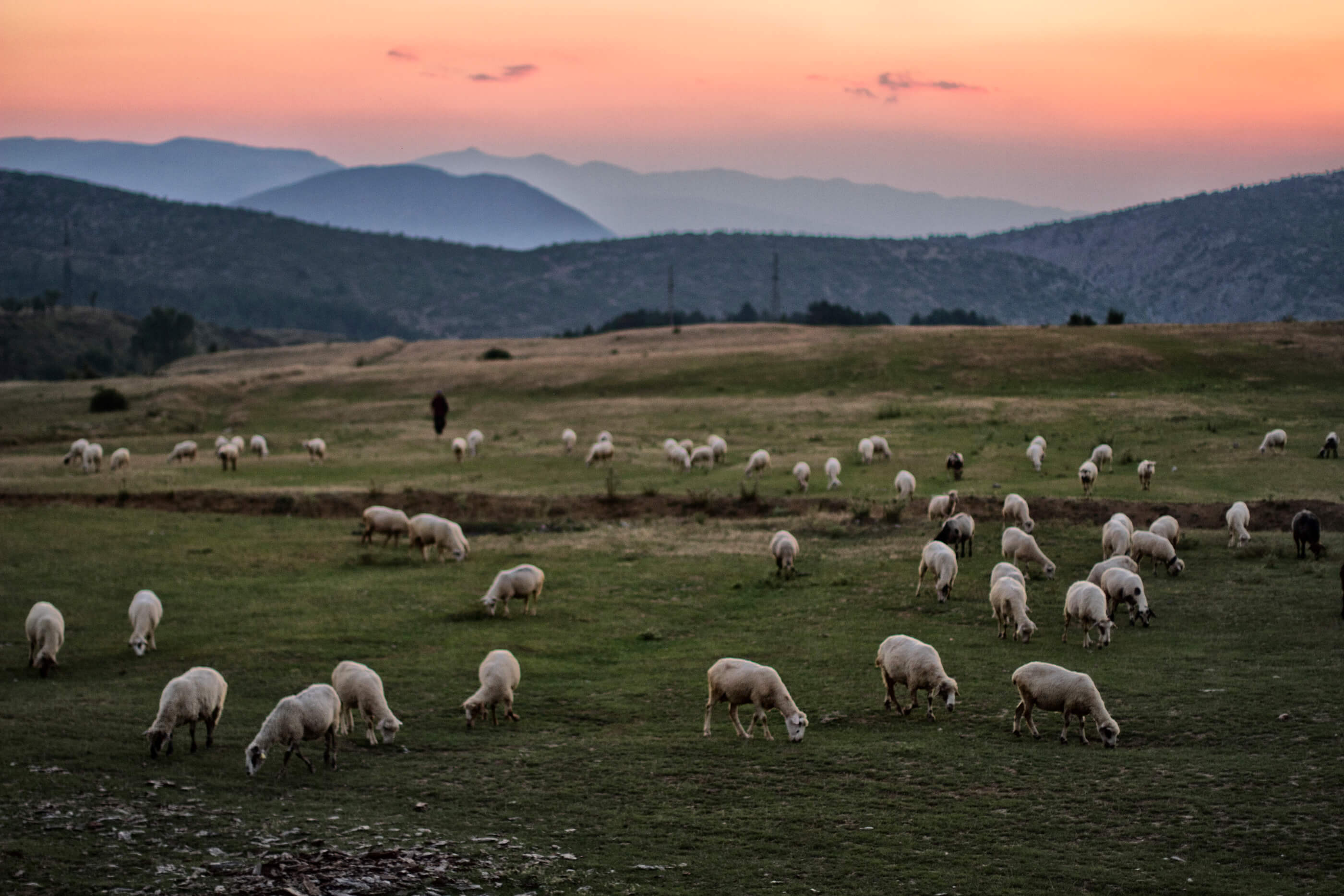 The Unknowing — Today Daily Devotional