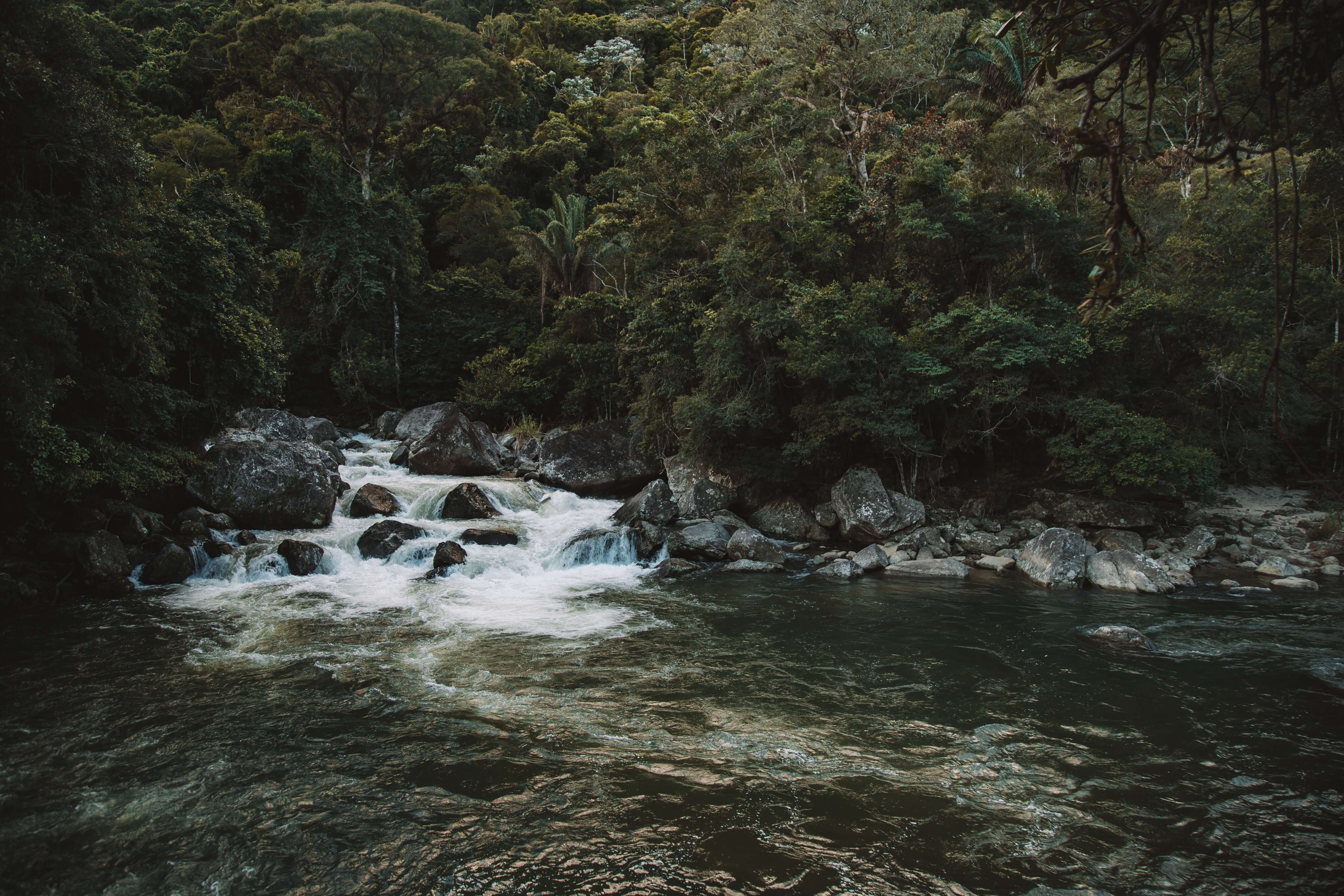 Gideon's Altar — Today Daily Devotional