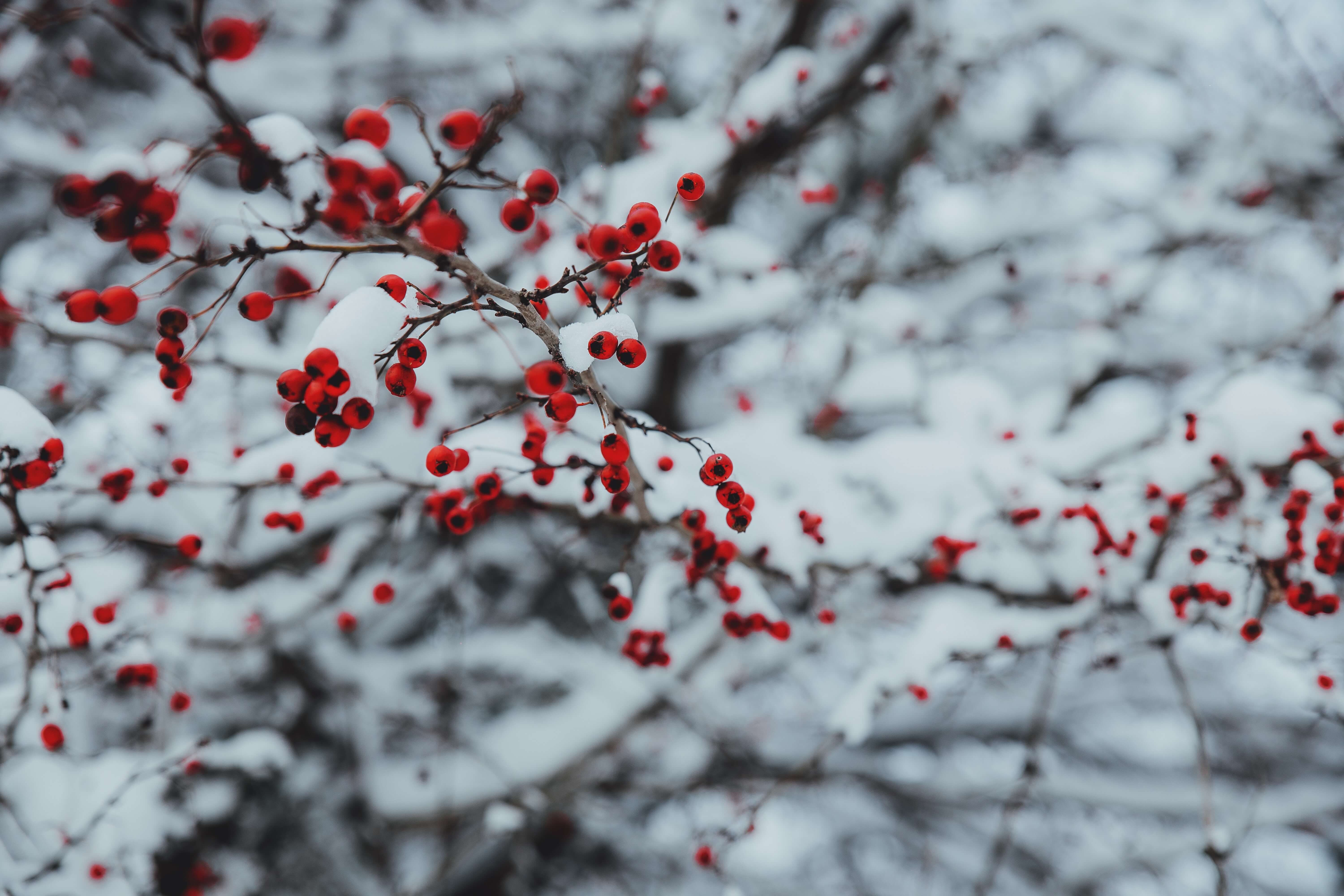 God's Word, A Light to Our Path — Today Daily Devotional
