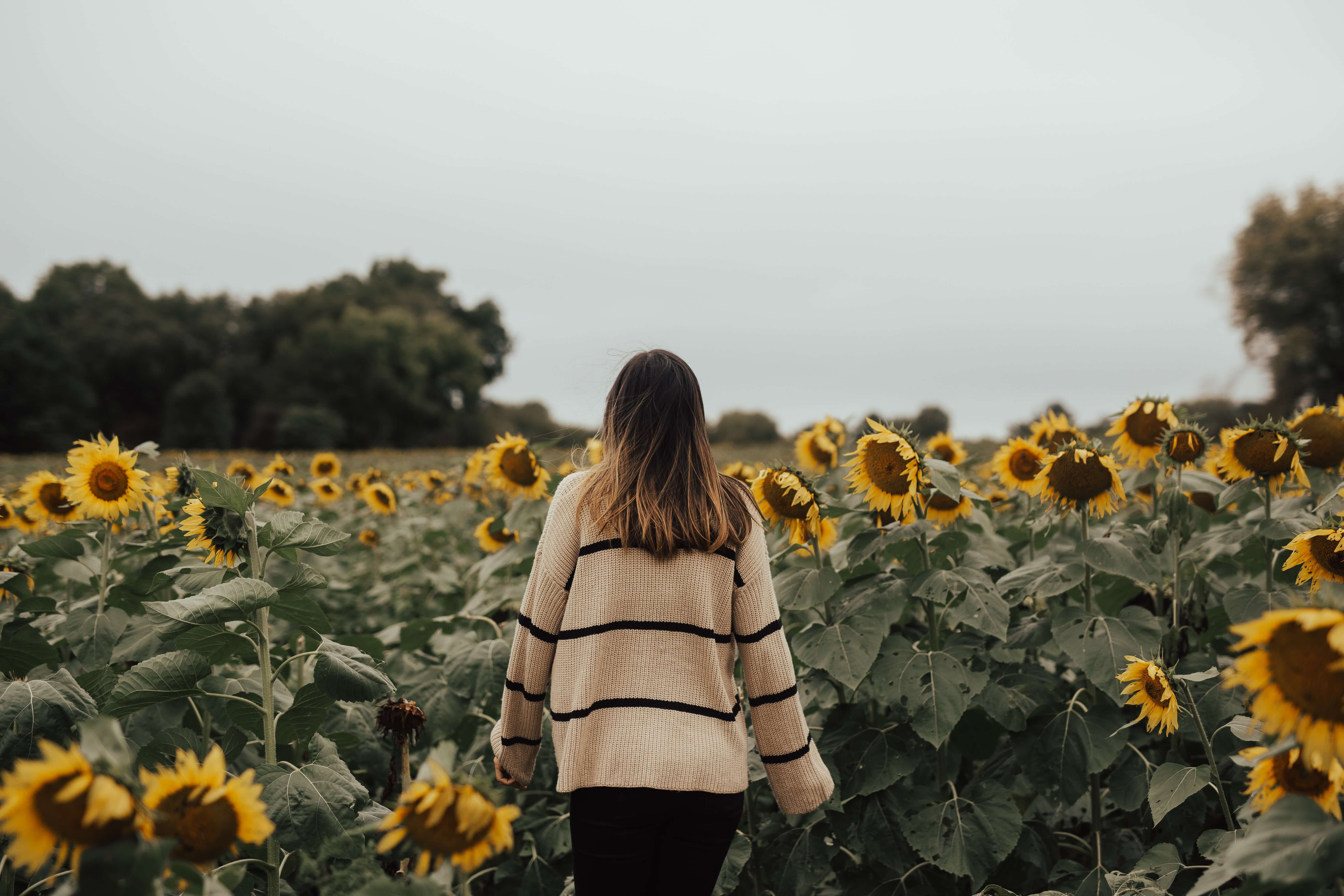 Catch the Spirit — Today Daily Devotional