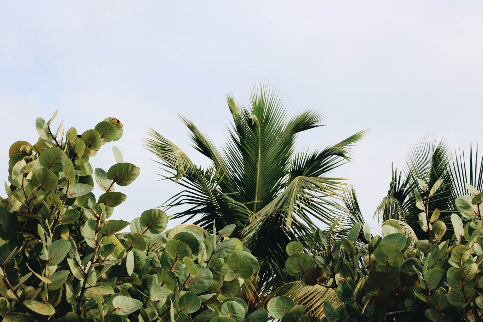 Encouragement to Continue — Today Daily Devotional