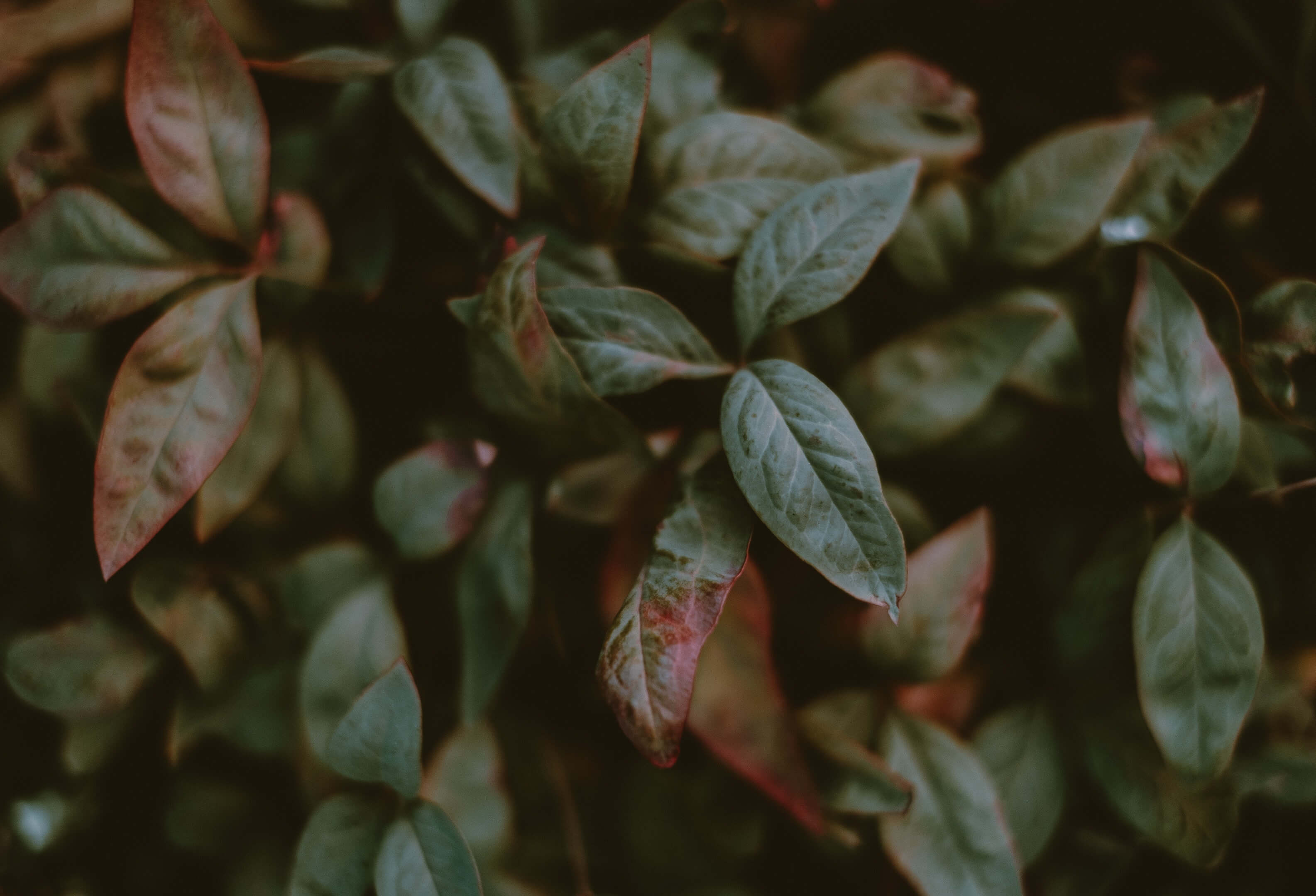 Help Me — Today Daily Devotional