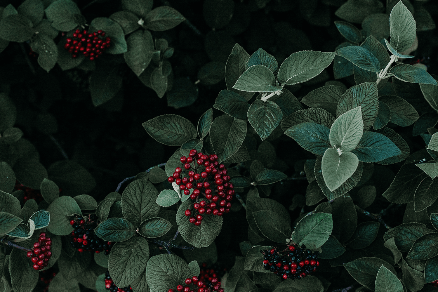 Just a Crumb — Today Daily Devotional