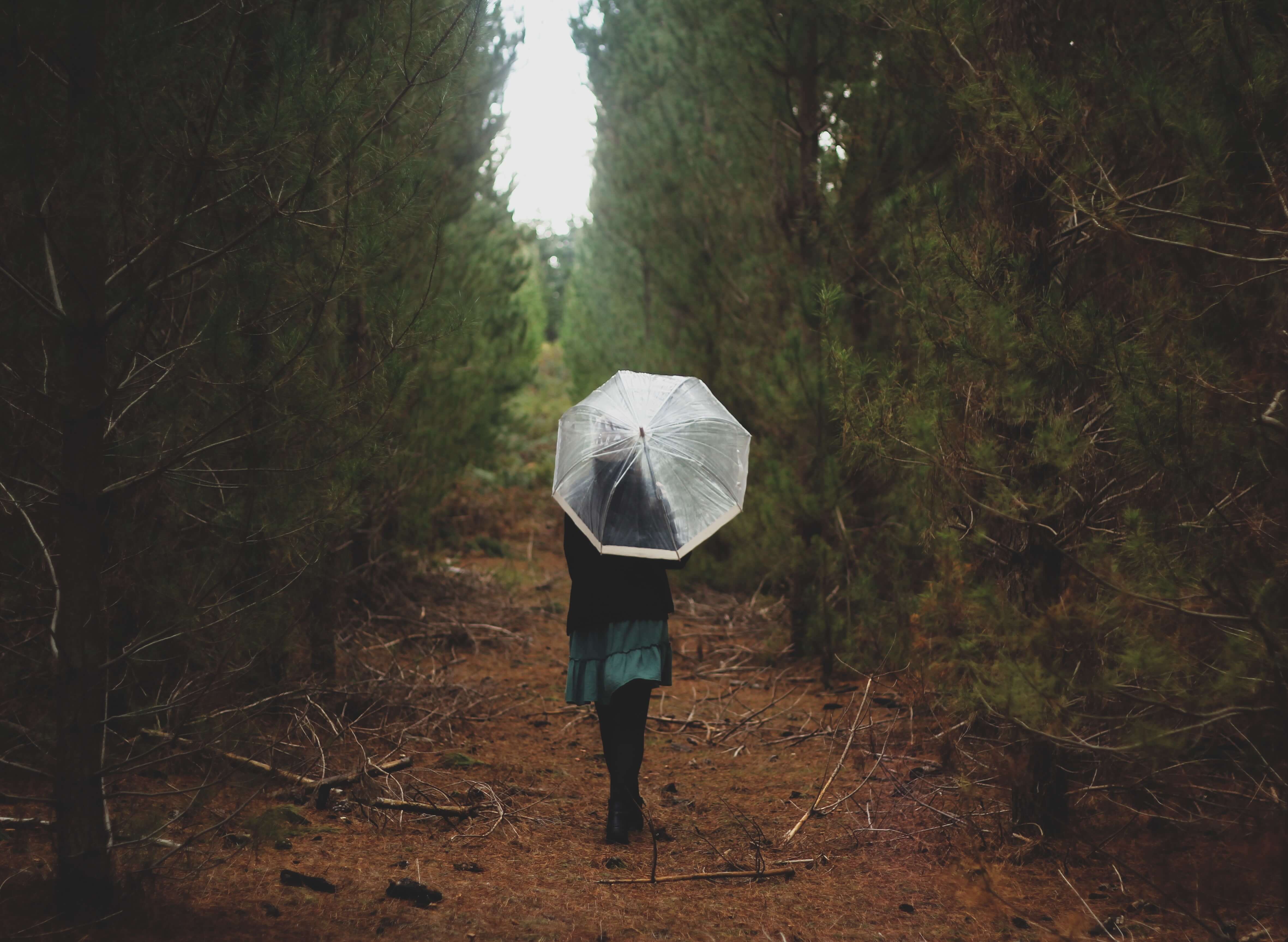 Defending Against Enemies — Today Daily Devotional
