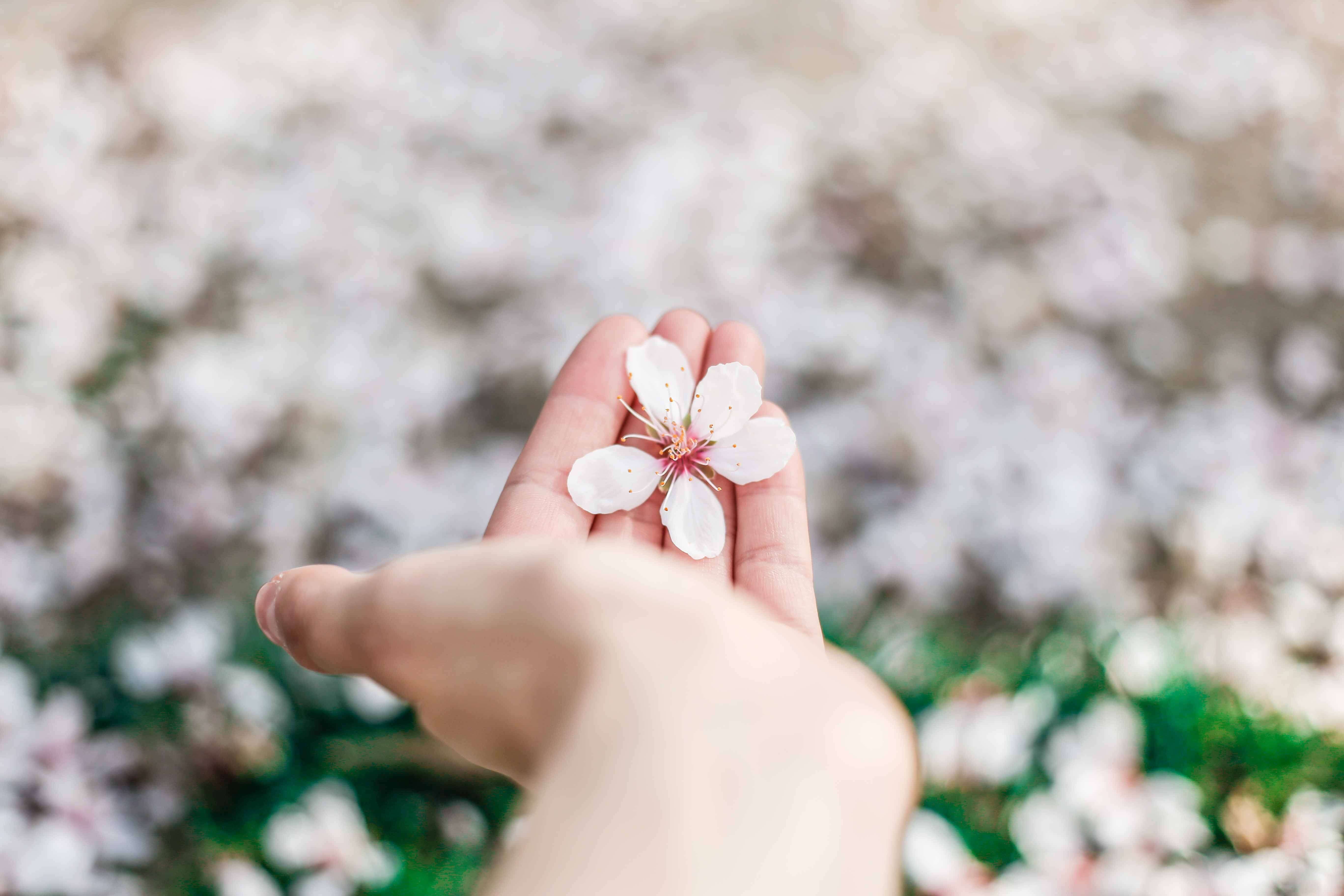 Mercy/Compassion — Today Daily Devotional
