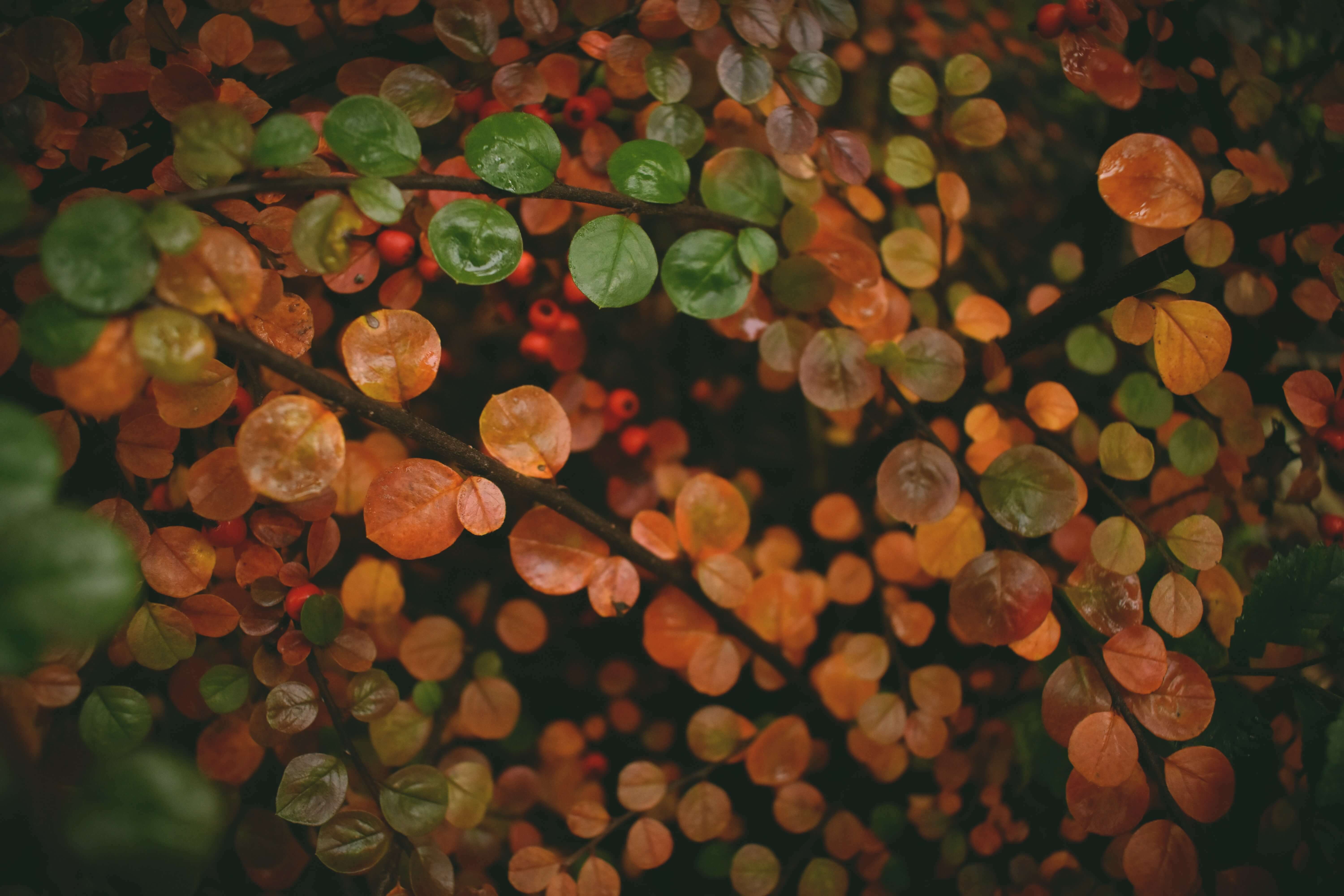 Wickedness — Today Daily Devotional
