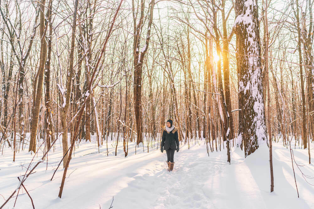 A Rich Inheritance — Today Daily Devotional