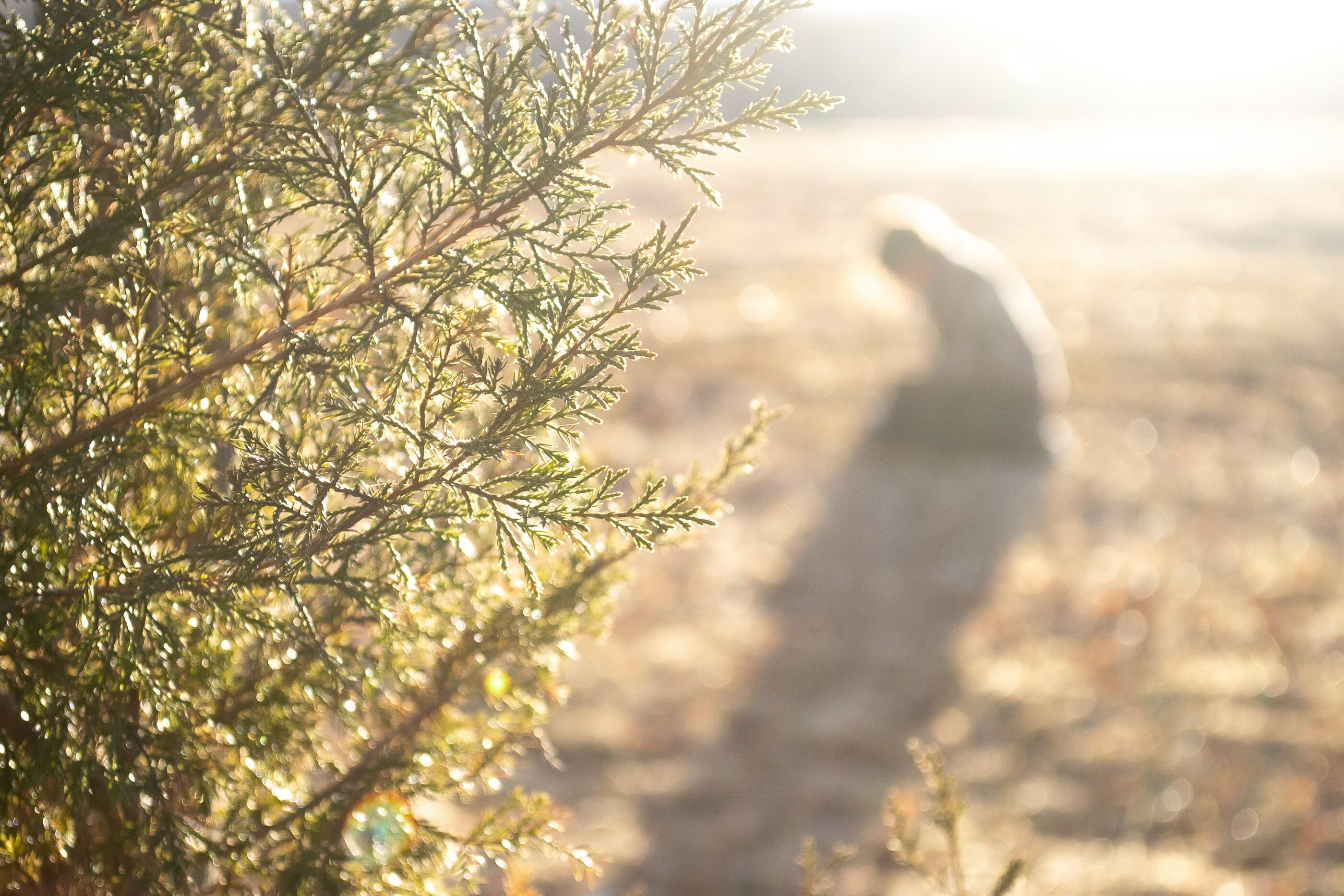 A Few Things — Today Daily Devotional